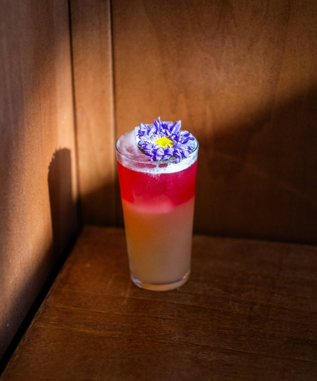 Livret Dry January – 31 recettes de cocktails sans alcool | JNPR