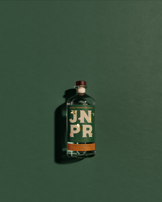 Guide de l'apéro sans alcool : quel JNPR choisir